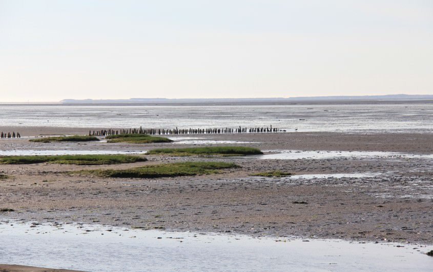 Nationalpark Niedersächsisches Wattenmeer - Nationale Naturlandschaften