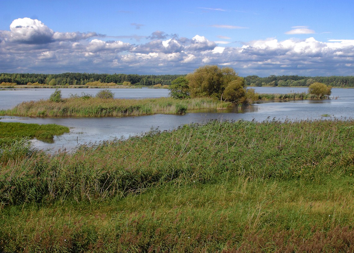 Biosphärenreservat Oberlausitzer Heide- und Teichlandschaft - Nationale ...