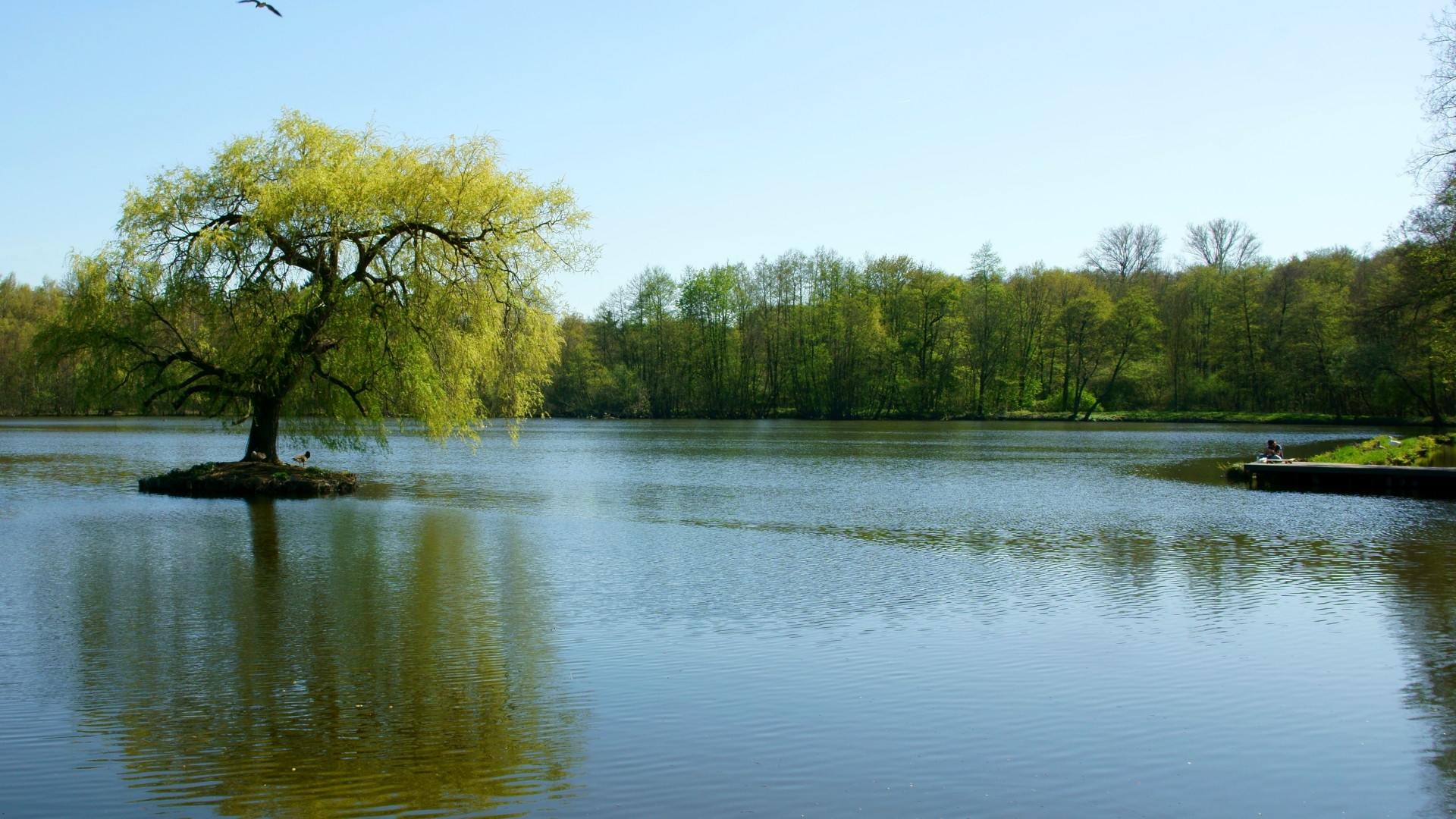 Naturpark Schwalm-Nette - Nationale Naturlandschaften