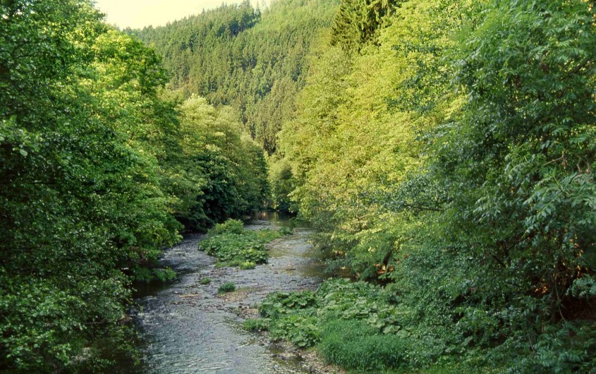 Naturpark Thüringer Wald - Nationale Naturlandschaften